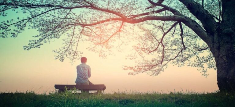 UTDT-HOME - Under the Dementia Tree